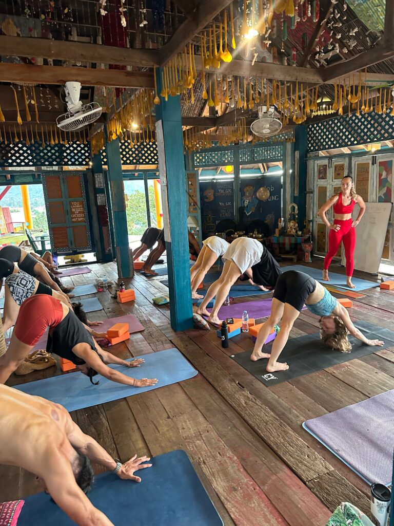 Our Amazing Program Yoga Mat International Yoga School